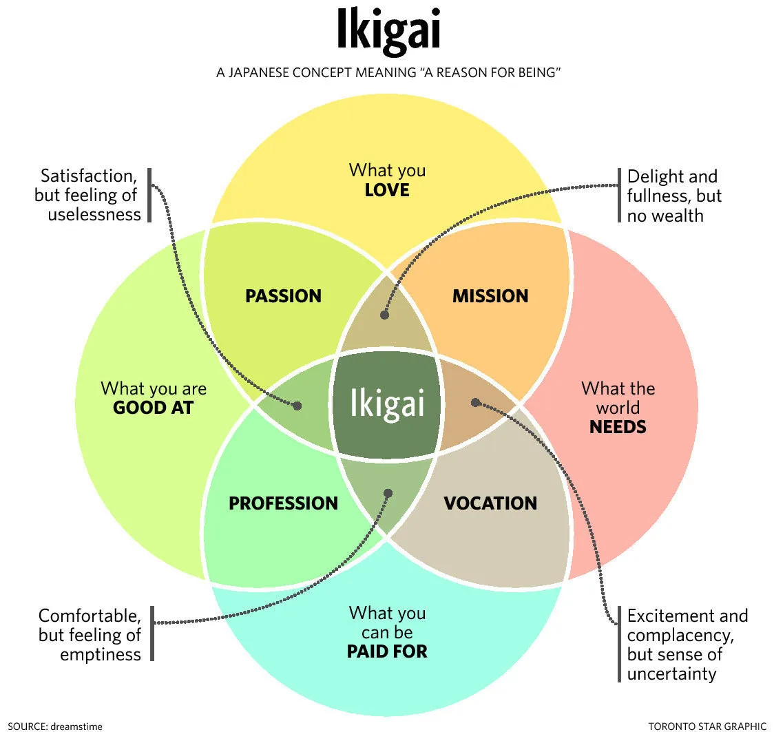 Ikigai framework assessment